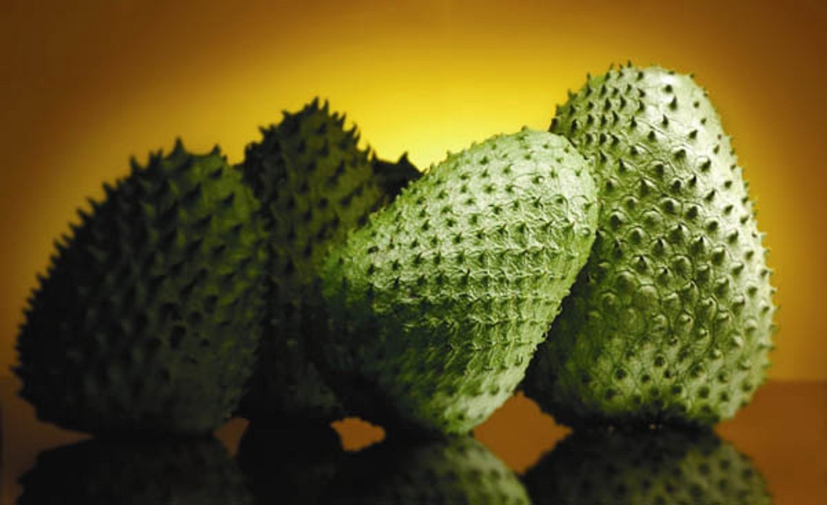 Healthy Foods: What are the benefits of the Jamaican Soursop? – Jamaica ...