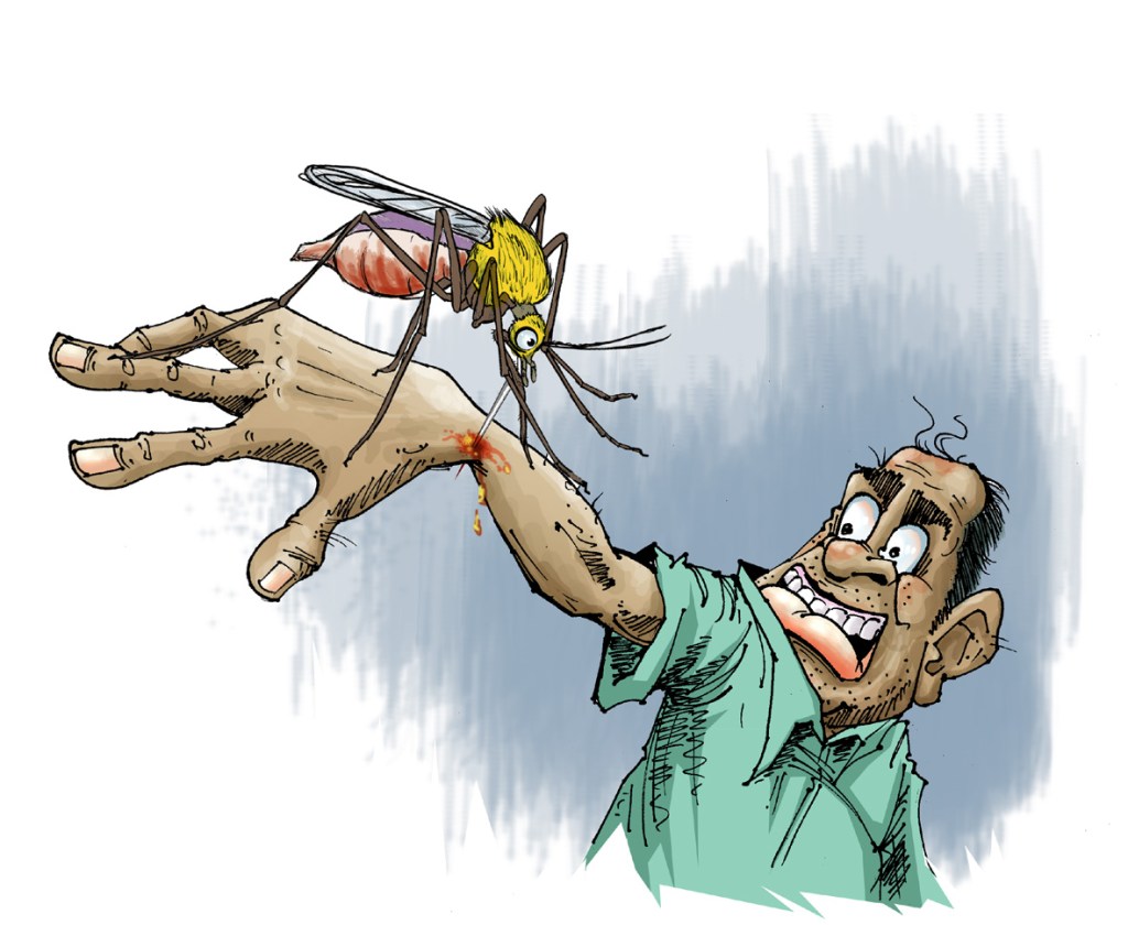 mosquito humor courtesy of cartoonisawadhesh-blogspot-com – Jamaica Pen ...